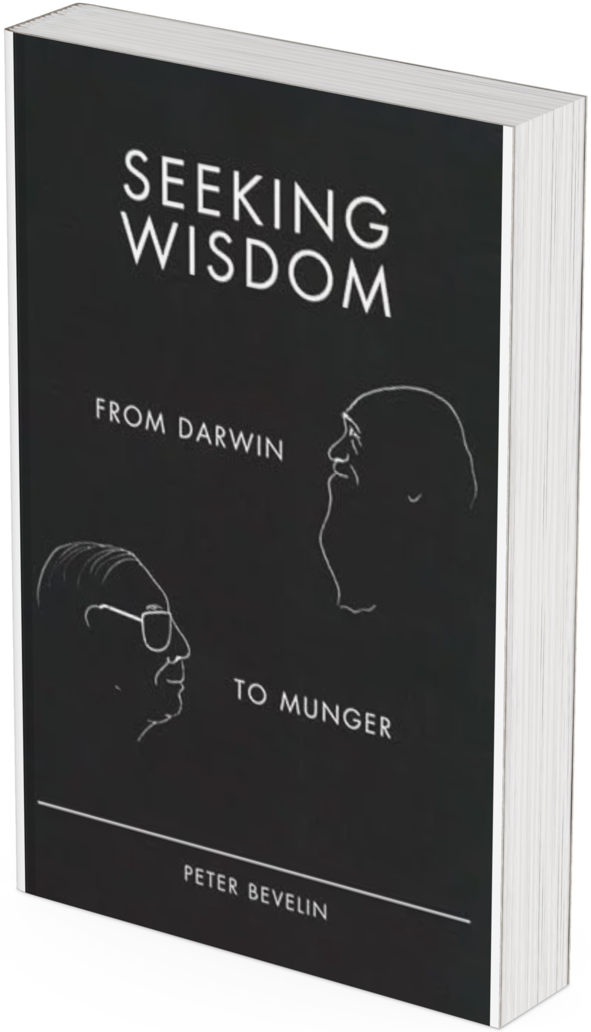 Seeking Wisdom by Peter Bevelin: 4 Powerful Key Takeaways